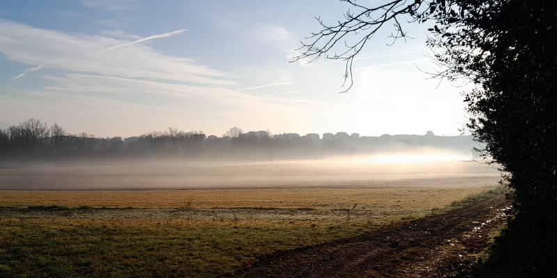 Cartolina da Maresso - Casateonline